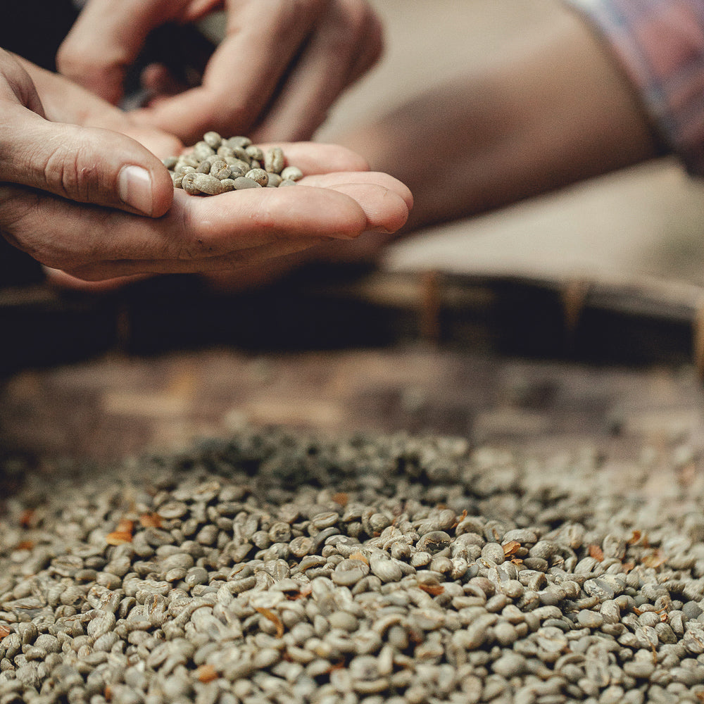 Collections – Green Coffee Co.