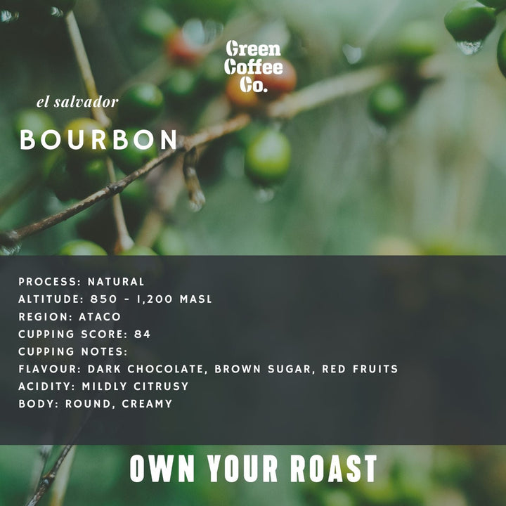 Green Coffee Co | Own Your Roast – Green Coffee Co.